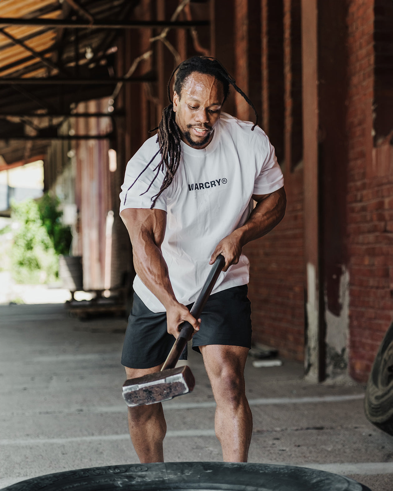 THE IMPORTANCE OF TESTOSTERONE IN PHYSICAL AND MENTAL PERFORMANCE ...